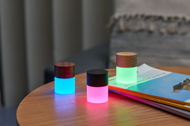 Mini Lemelia Light | Red Lobster Gallery